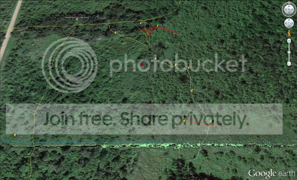 Projecting Buck Line of Travel from Rubs - Hunting Beast™ / The Hunting ...