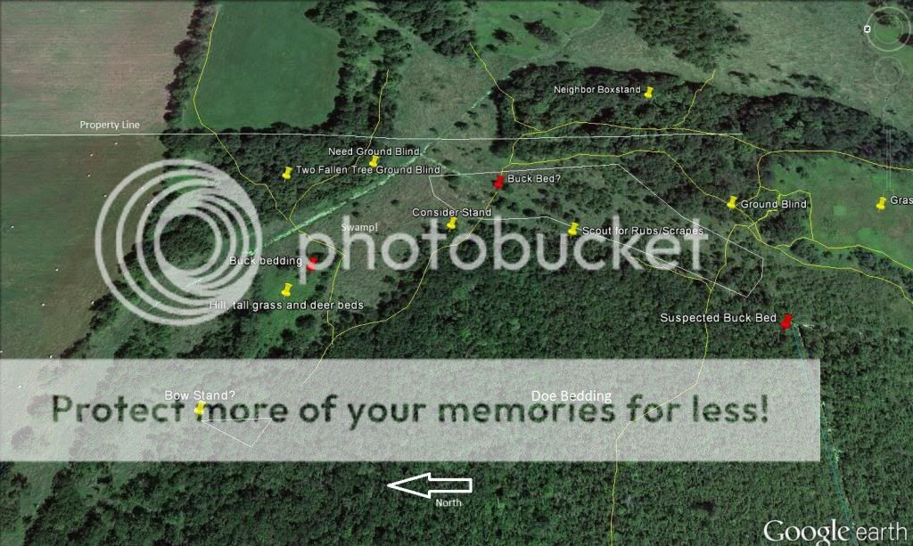 How much can I hunt this swamp without scaring them off? - Hunting ...